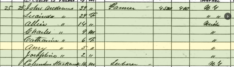 Phillips Family Tree – Tales of a Family