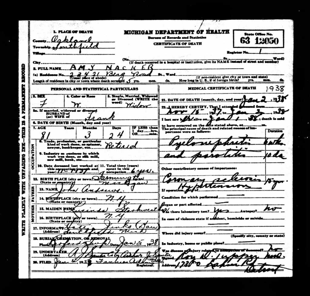 Strange Family Tree – Tales of a Family