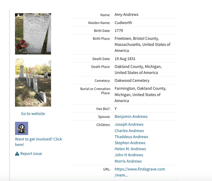 Strange Family Tree – Tales of a Family