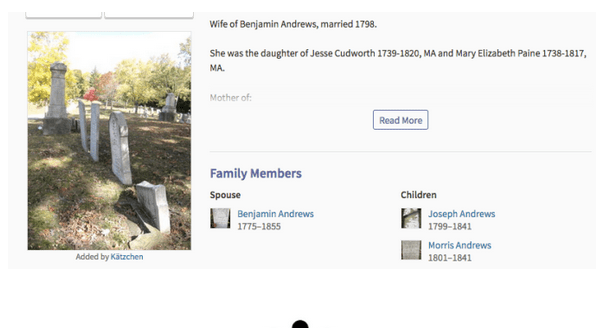 Strange Family Tree – Tales of a Family